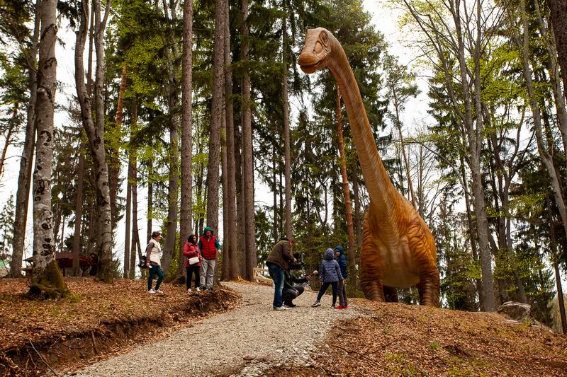 Cel mai înalt dinozaur din sud-estul Europei va fi expus la Dino Parc ...